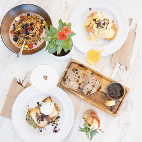 What's On at The Station + Ludo